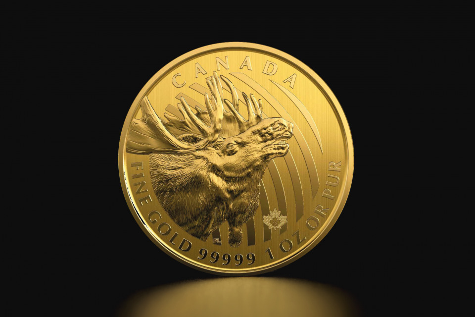 1 oz Canadisk Moose 2019 Guldmønt | Tavex